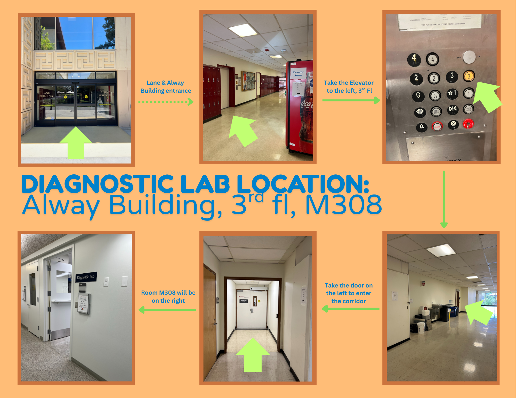 Animal Diagnostic Lab